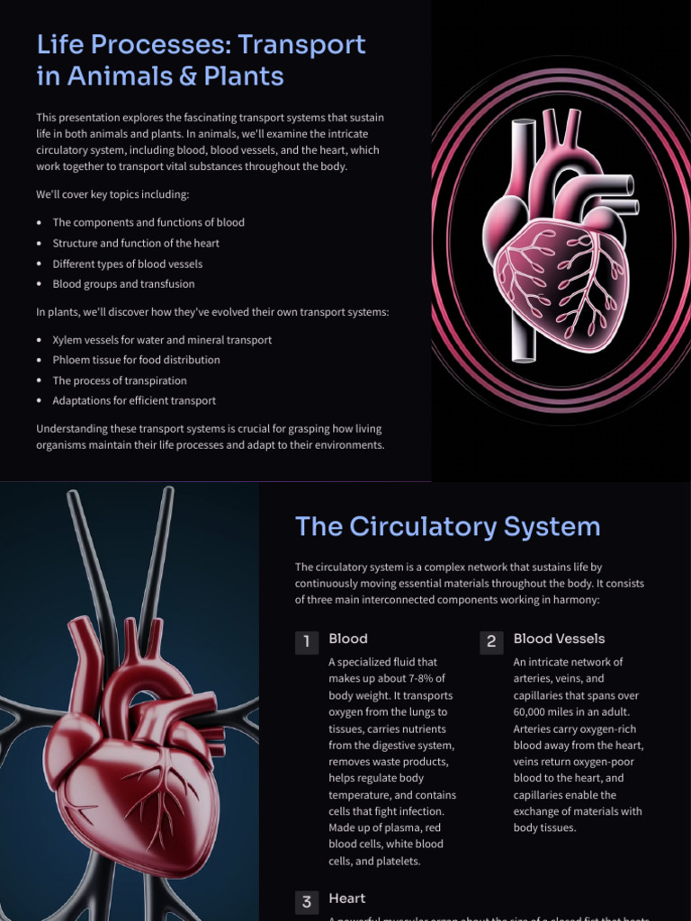 Life Processes Transport in Animals and Plants (2) | PDF | Atrium ...