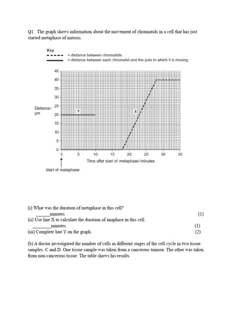 Mitosis and Cell Cycle Analysis | PDF
