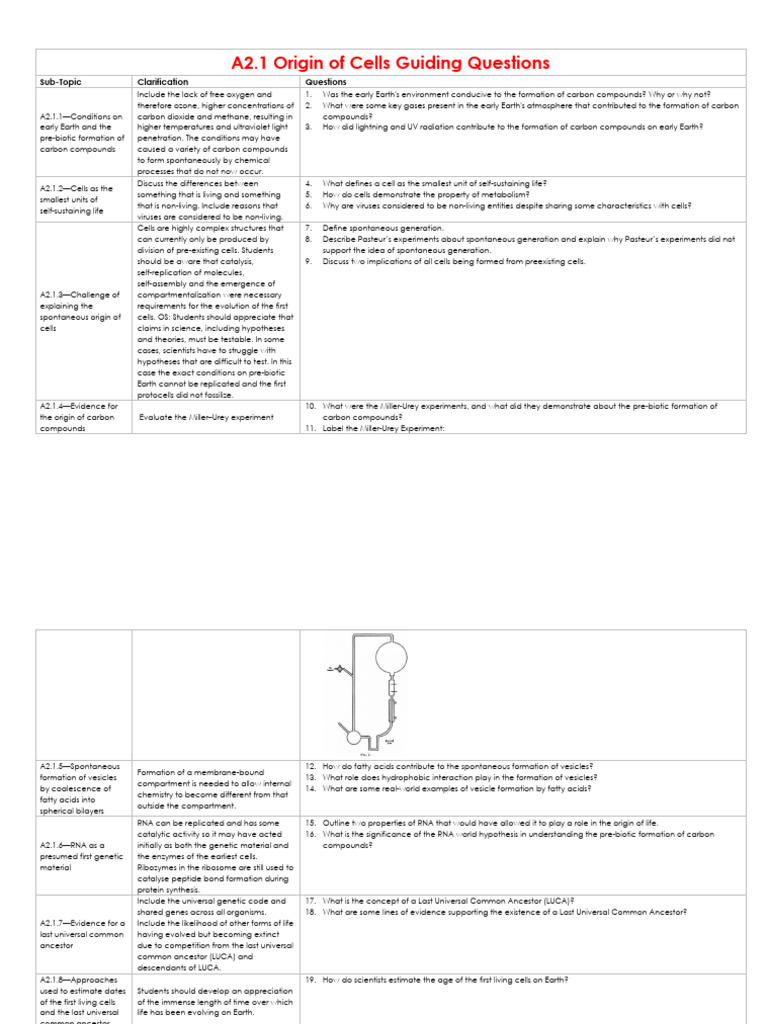 A2.1_Origin_of_Cells_Guiding_Questions_with_Key | PDF | Rna | Abiogenesis