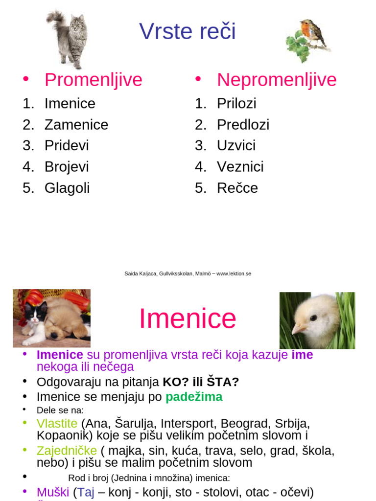 Lektion-Se 21895 Vrste Reci SRP | PDF