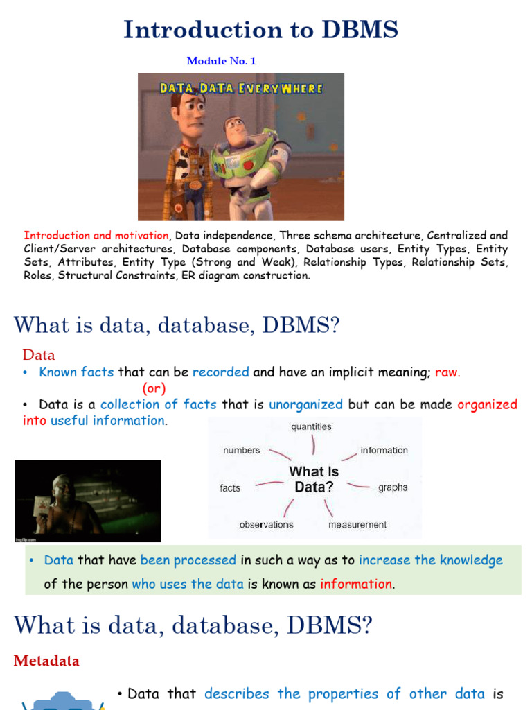 Introduction to Database Management Systems | PDF | Databases | Relational Database