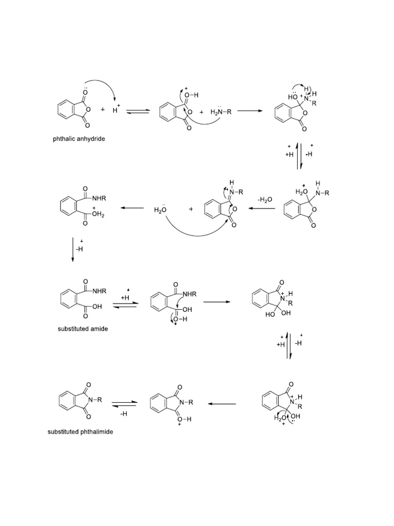 Mechanism of Phthalimide Formation | PDF