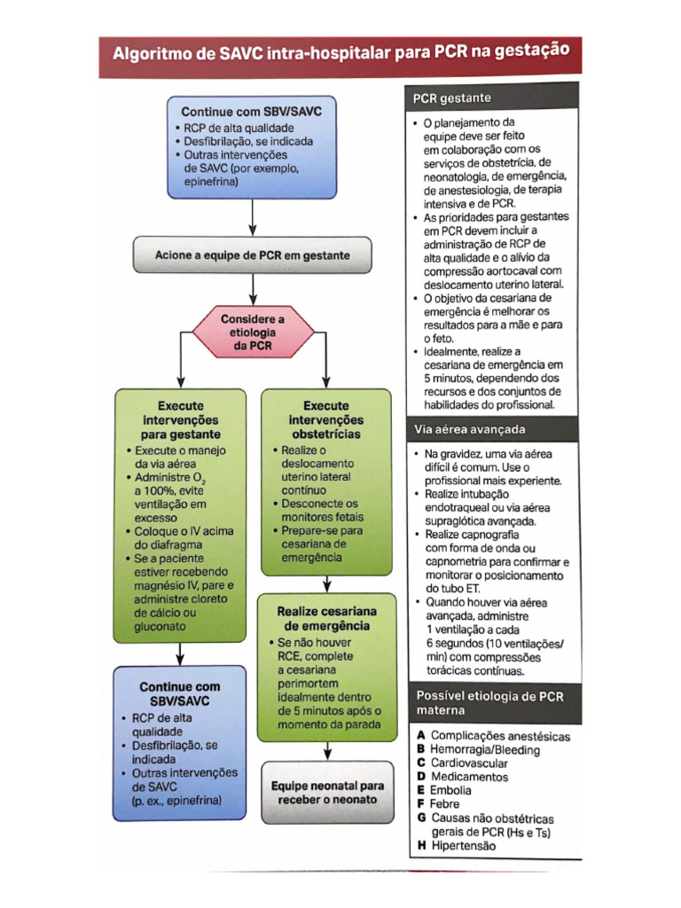 Algoritmo de SAVC intra-hospitalar para PCR na | PDF