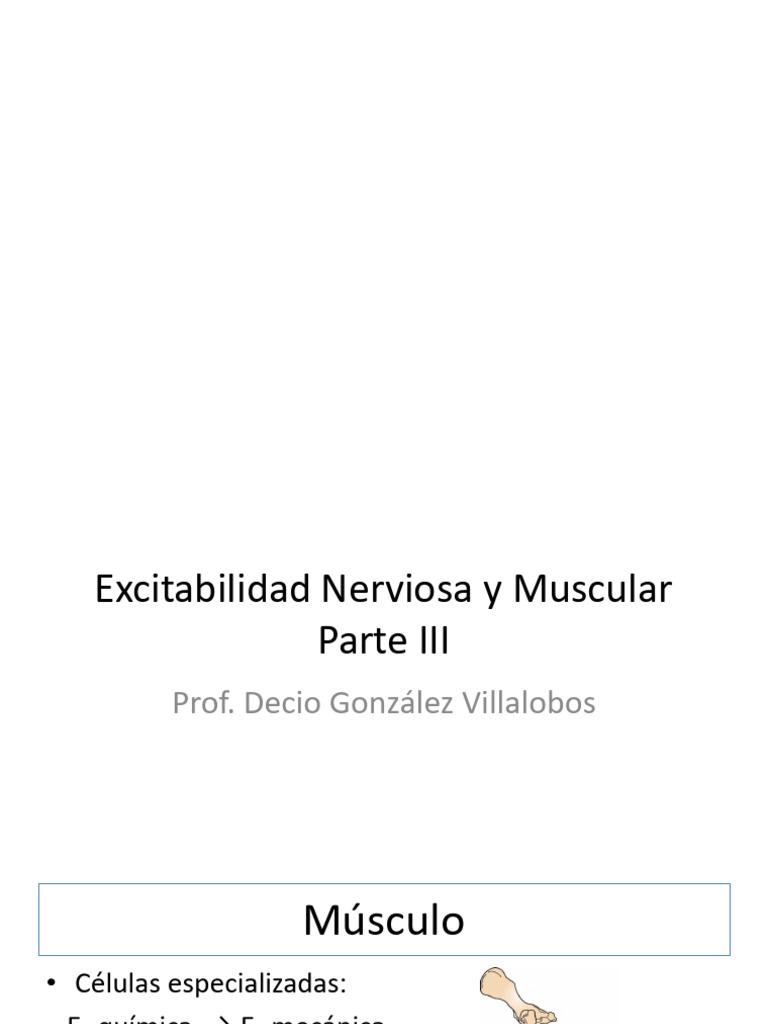 Excitabilidad Nerviosa - Muscular PARTE 3 | PDF | Músculo | Sinapsis