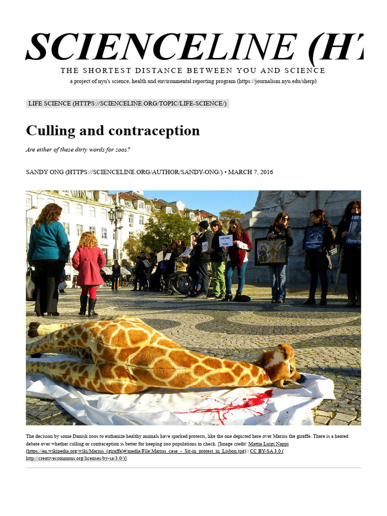 Culling_and_contraception_-_Scienceline[1] | PDF | Zoo | Zoology