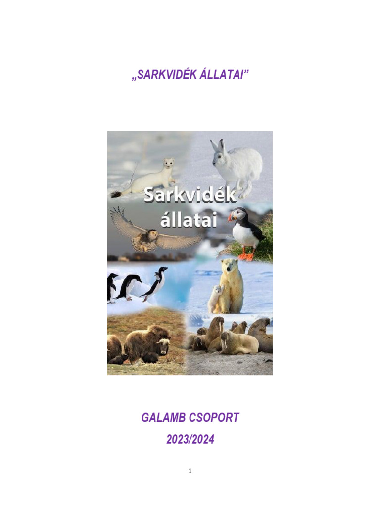 2 Proiect Tematic | PDF