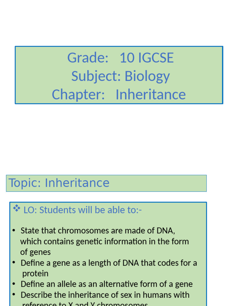 Inheritance Protein Synthesis | PDF | Gene | Nucleic Acid Sequence