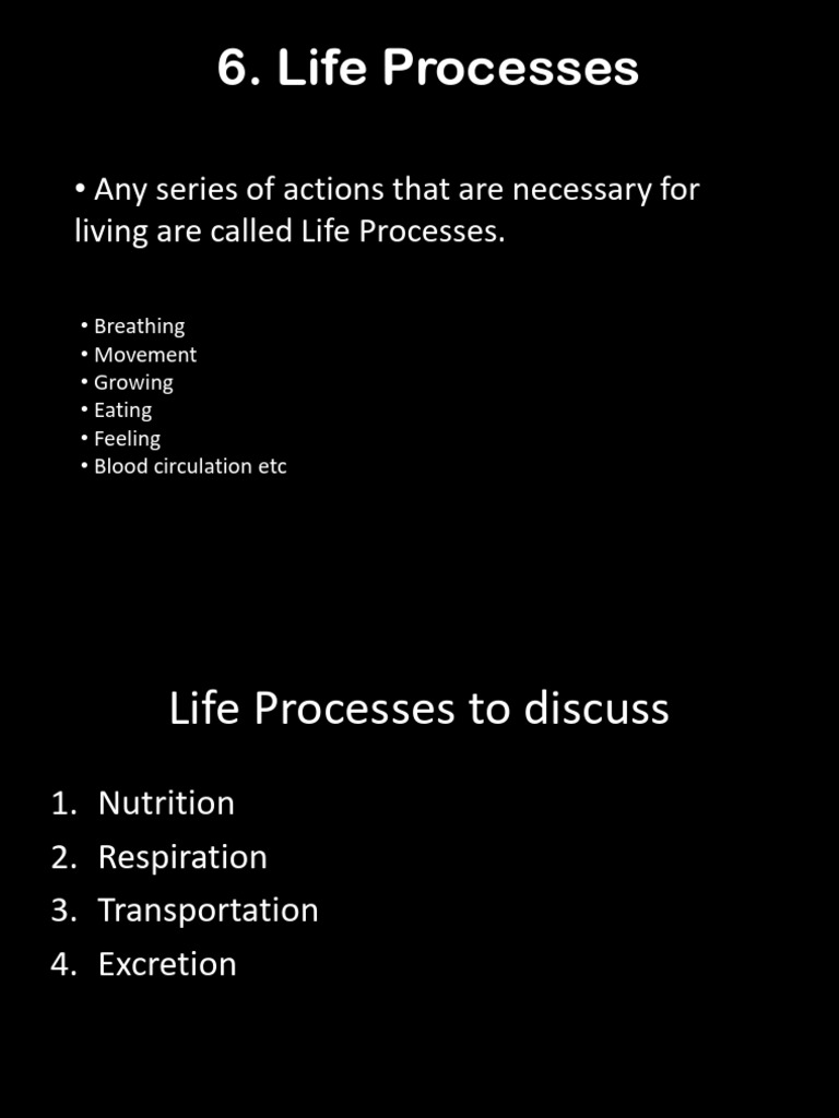 Life Processes CLASS 10 SCIENCE | PDF | Digestion | Respiratory System