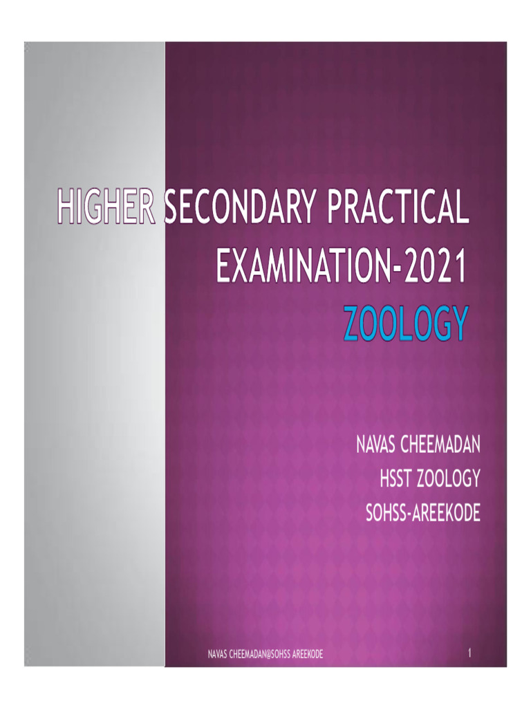 Plus Two Zoology Practical Notes Based On Scheme | PDF | Atrium (Heart ...