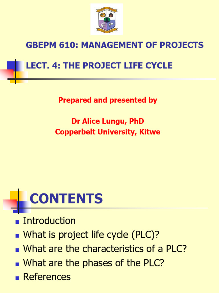 Understanding the Project Life Cycle | PDF | Project Management | Business