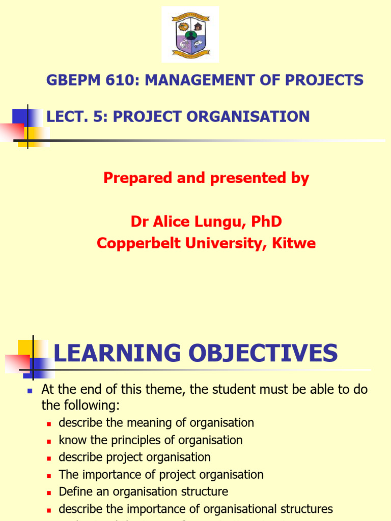Topic 5 - Project Organisation | PDF | Organizational Structure ...