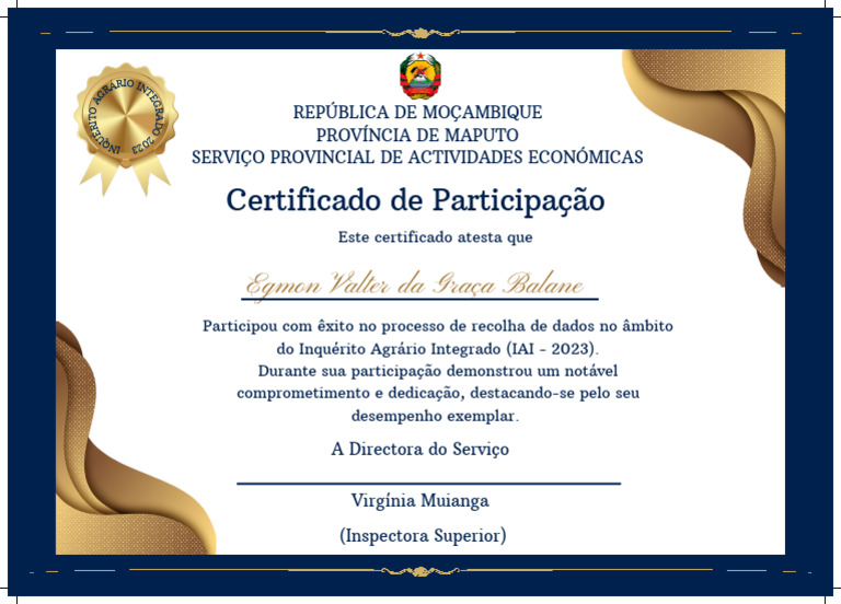 Certificado de Participacao IAI Egmon Balane | PDF
