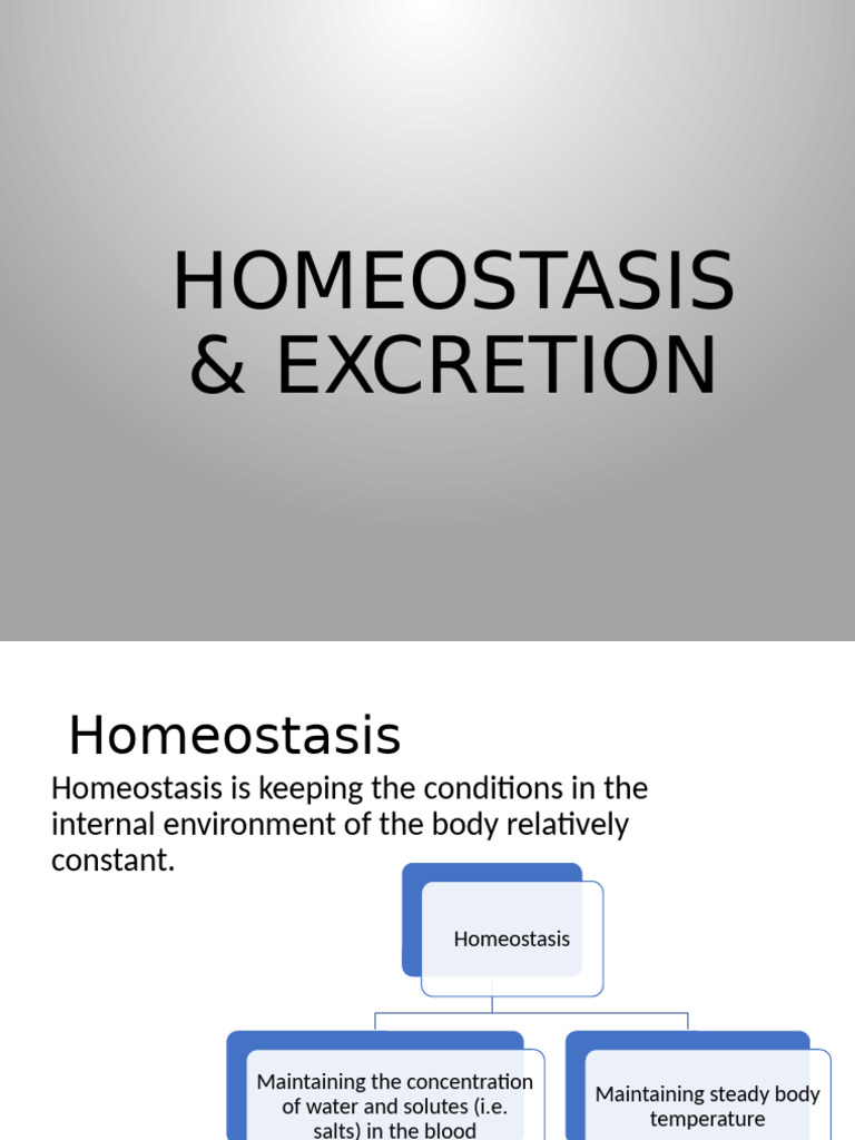 Homeostasis and Excretion Explained | PDF | Kidney | Homeostasis