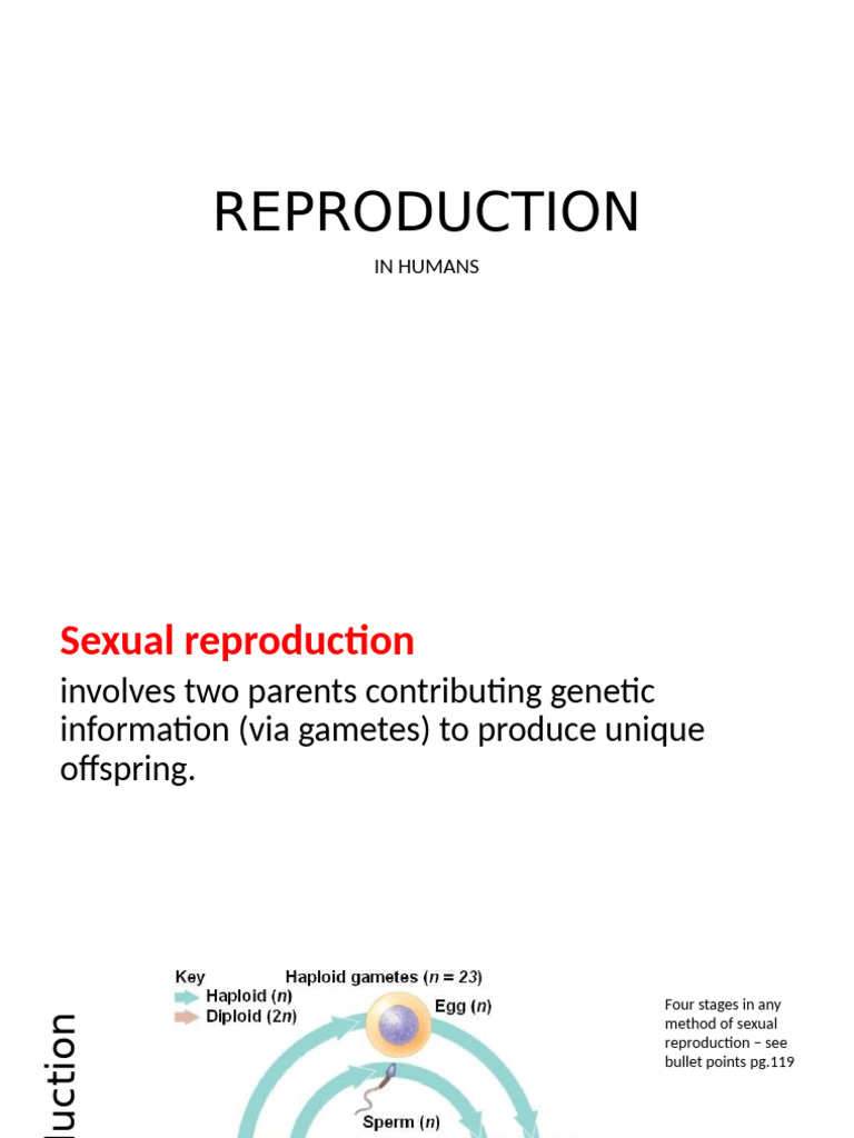 Human Reproduction: Sexual vs Asexual | PDF | Sexual Reproduction ...
