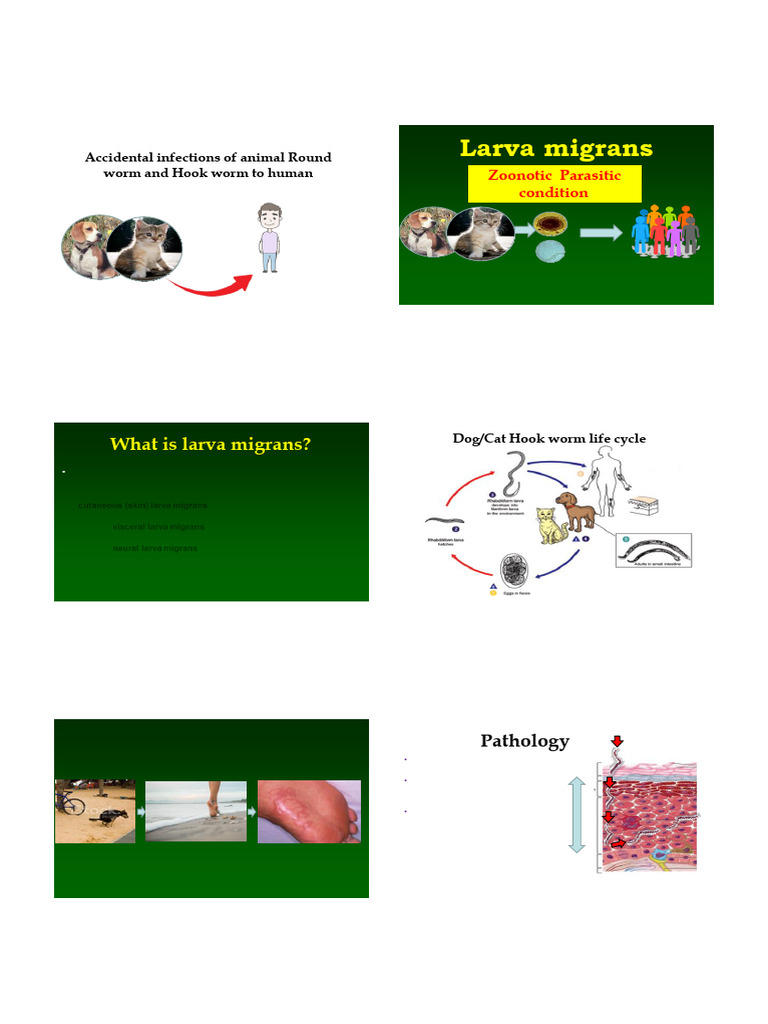 CLM VLM 45 | PDF | Diseases And Disorders | Clinical Medicine