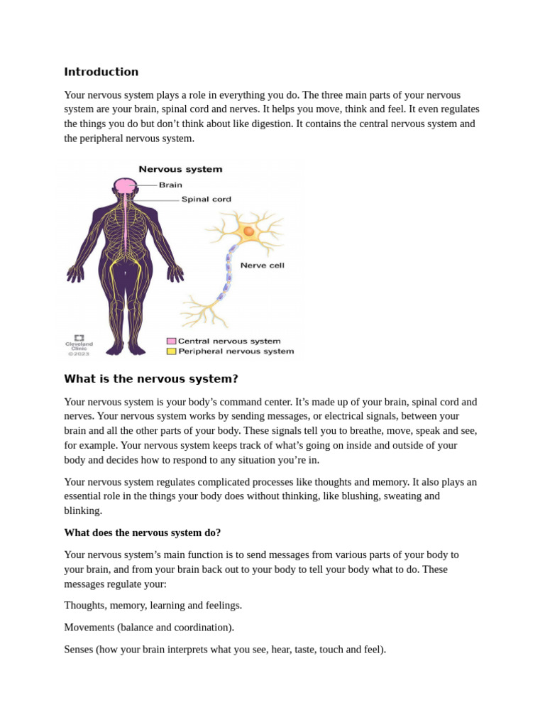 Axon Terminals and Their Functions | PDF | Chemical Synapse | Neuron