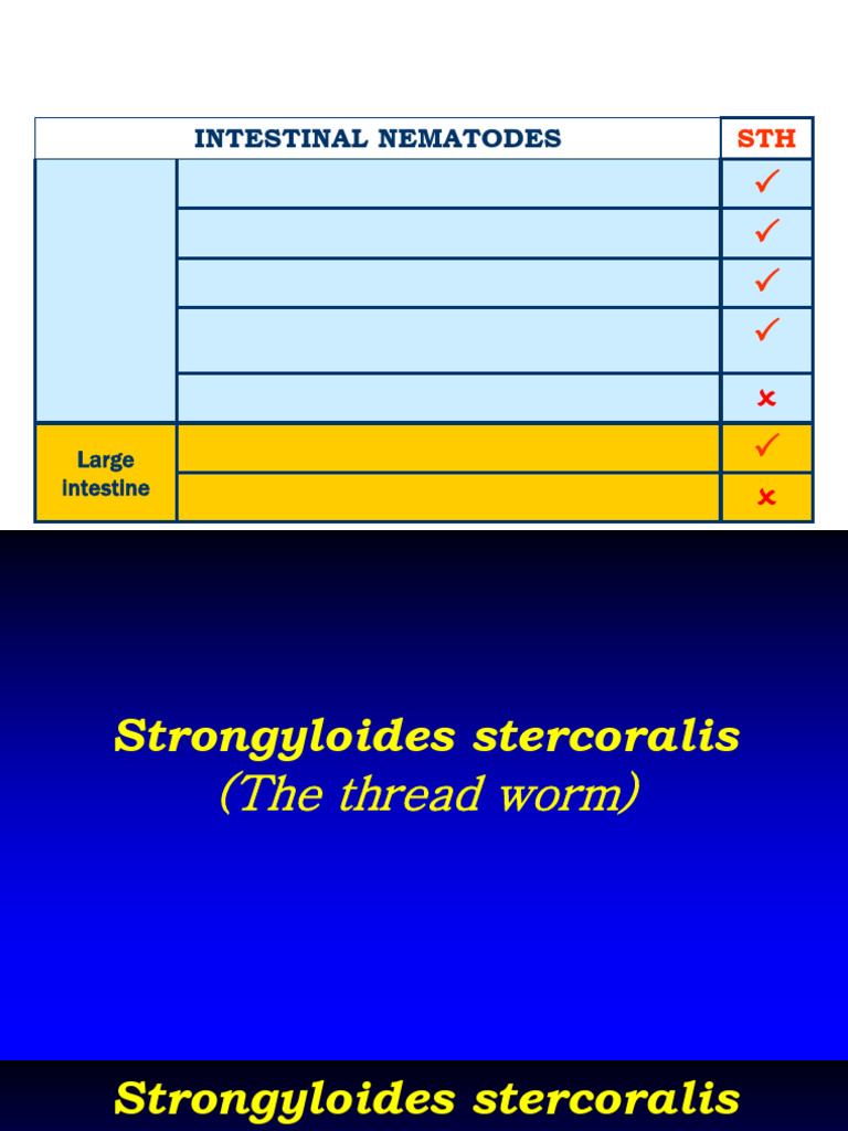 Thread Worm 45_c39c55dac4de9b405cf11aa8ad7fa8ba | PDF | Immunology ...