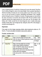 Mighty Meaty Pasta Sauce | PDF | Tomato Sauce | Pasta