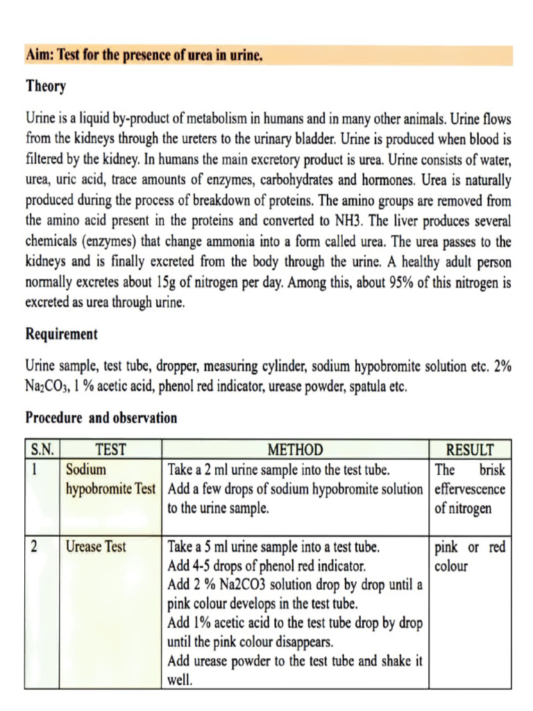 Experiment 6 7 and 8 | PDF | Urine | Urea