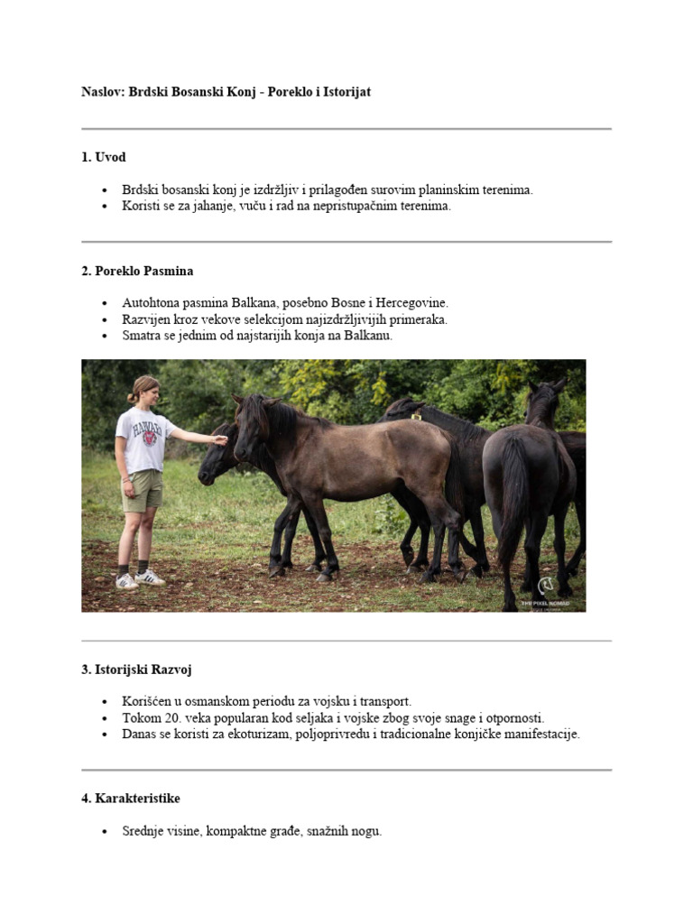 02 Bosanski Brdski Konj | PDF