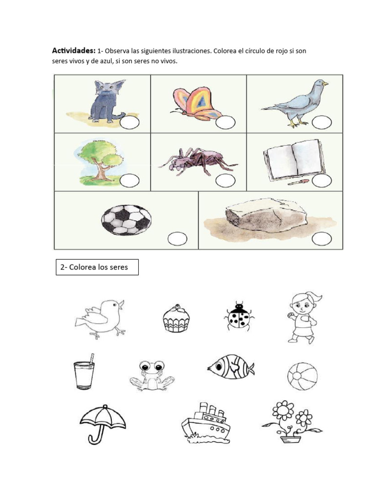 Actividades Seres Vvos e Inertes | PDF