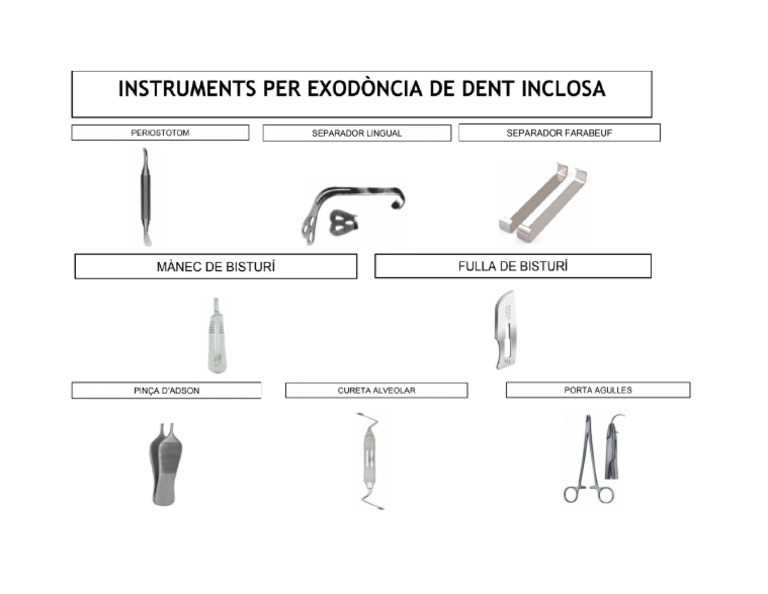 Odonto Collage Exodòncia de Dent Inclosa o Impactada | PDF