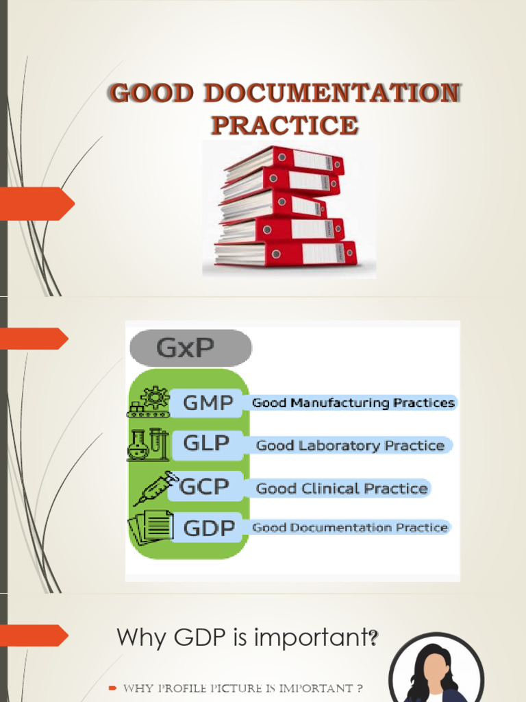 Importance of GDP in Documentation | PDF