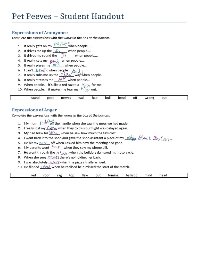 Pet Peeves Student Handout | PDF