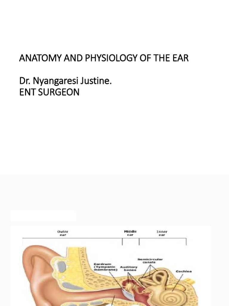 Anatomy and Physiology of The Ear 1 | PDF | Ear | Vertigo