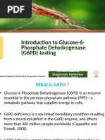 MIMS Summary Table-G6PD | PDF