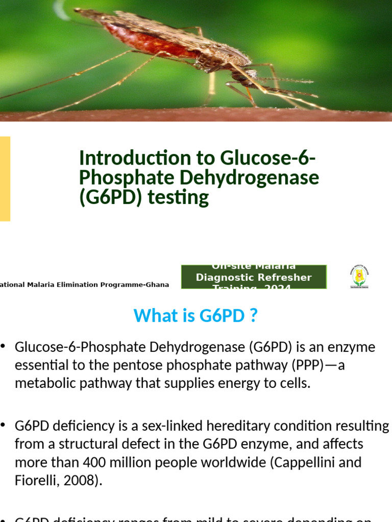 Introduction To g6pd Testing | PDF | Malaria | Medical Specialties
