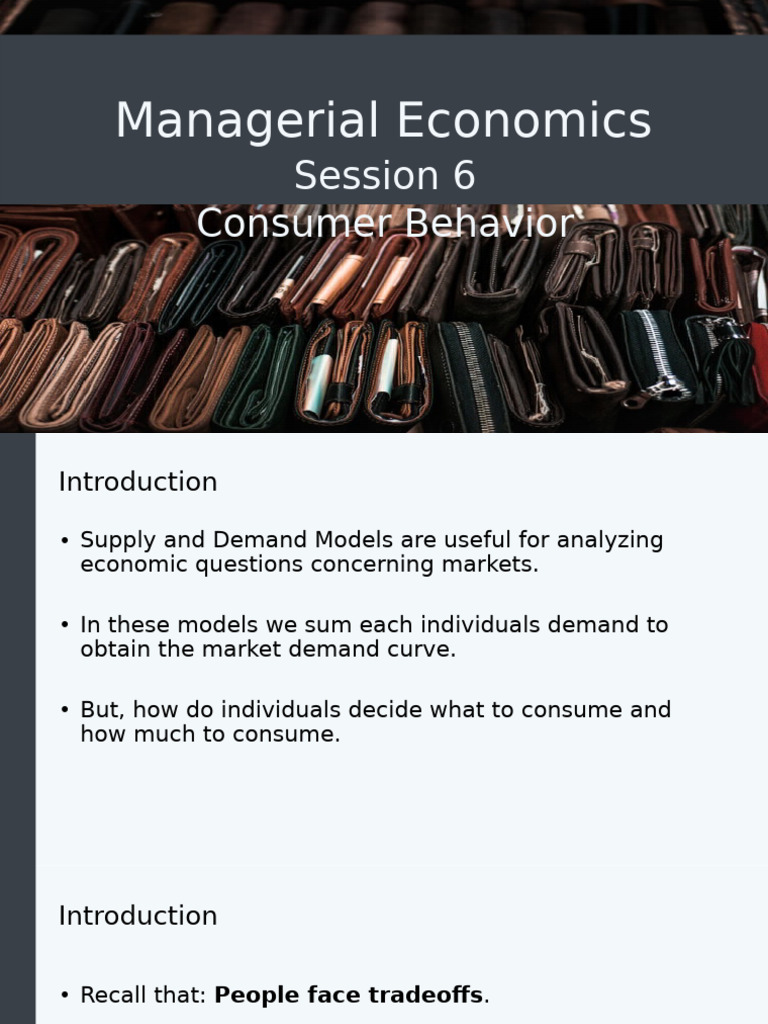 Understanding Consumer Behavior in Economics | PDF | Utility | Demand