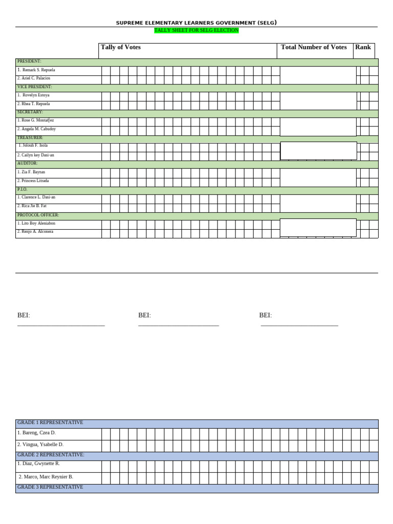 Tally Sheet For Selg Officers Sy 2023 2024 | PDF