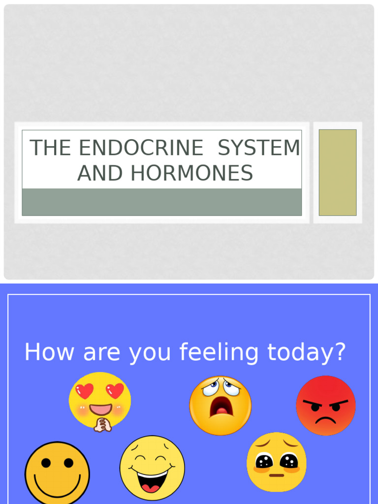 Endocrine System 3rdQ | PDF
