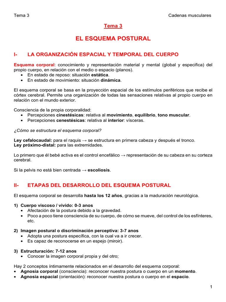 Tema 3 - El esquema postural | PDF | Percepción | Sentidos
