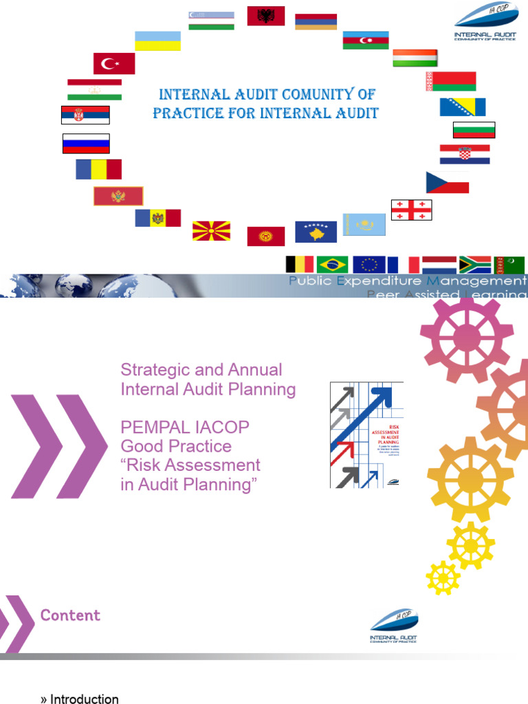 Internal Audit Community | PDF | Risk | Audit