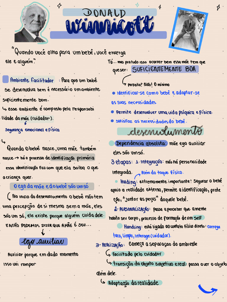 Donald Winnicott (Resumo Ana Maria) - 241121 - 220200 | PDF