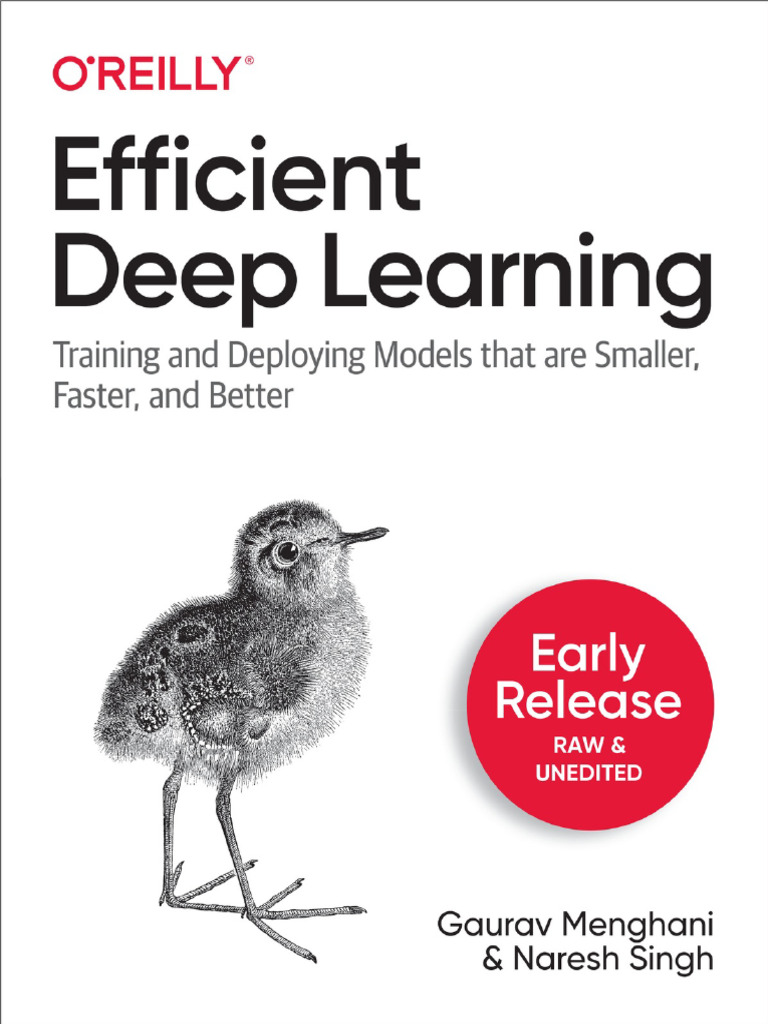 Efficient Deep Learning (First Early Release) (Gaurav Menghani Naresh Singh) (Z-Library) | PDF ...