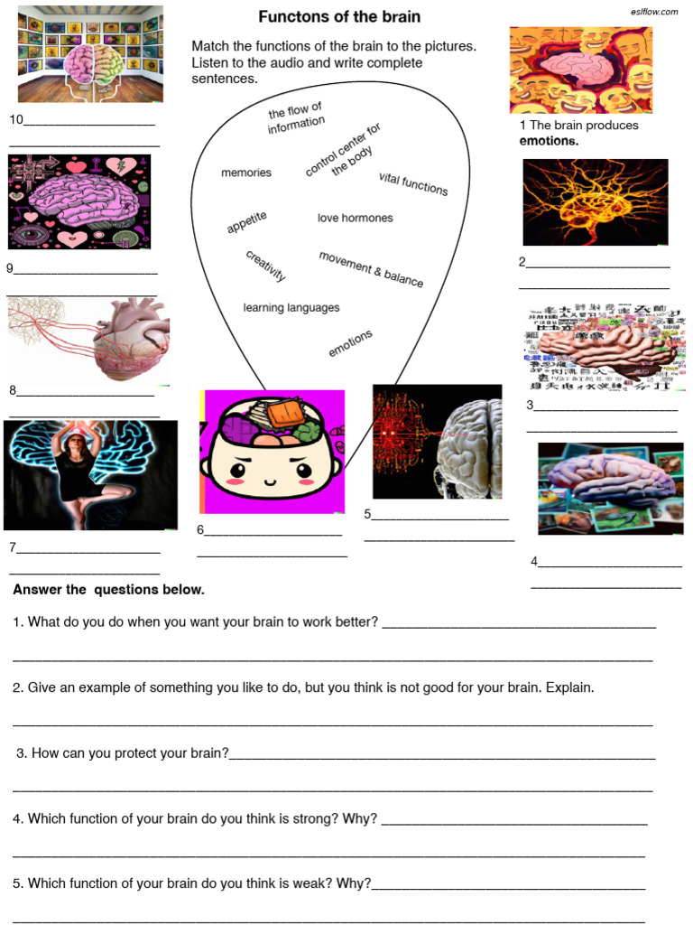 Brain Functions and Their Impact | PDF | Brain | Memory
