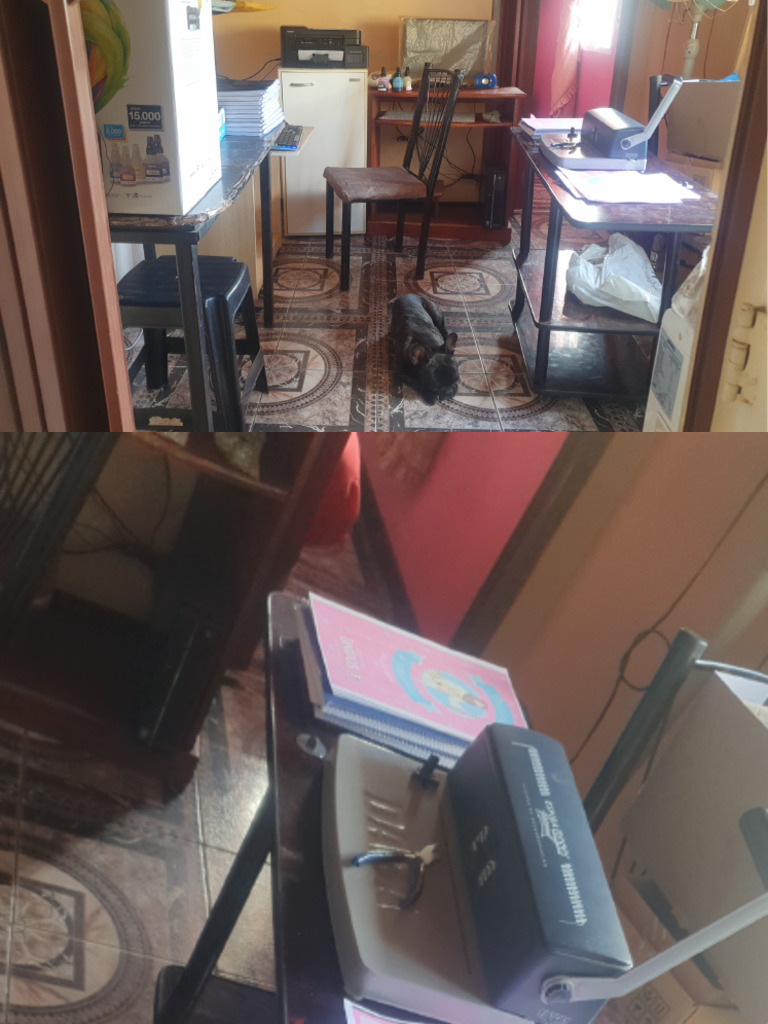 Gallery_20250226_094845 | PDF