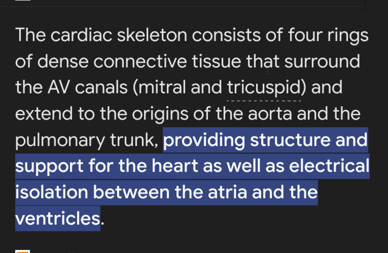 Importance of The Cardiac Skeleton - Google Search | PDF