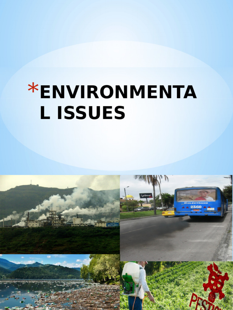 Environmental Issues | PDF
