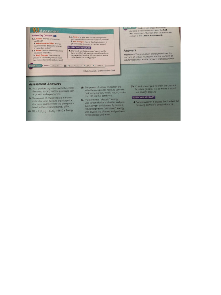 Self-Esteem Quiz for Teens | PDF | Self Esteem | Psychological Concepts