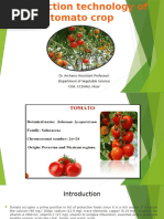 1000 Python MCQ (Multiple Choice Questions) - Sanfoundry | PDF | Anonymous Function | Python ...