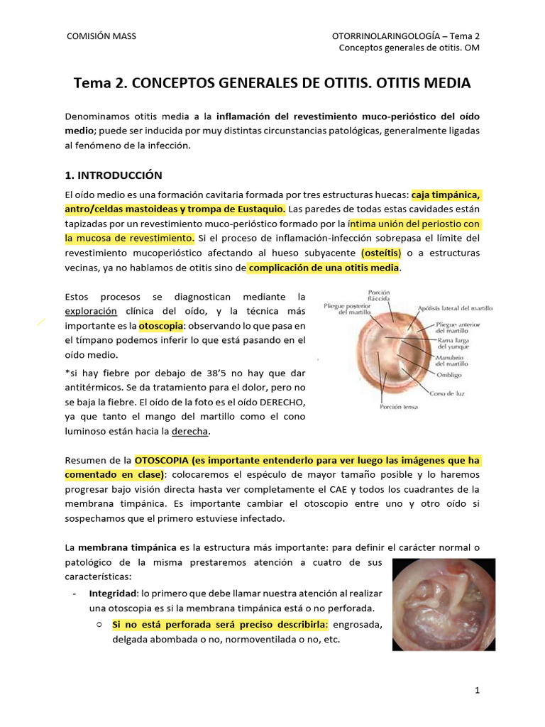 Conceptos Clave sobre Otitis Media | PDF | Oído | Especialidades Medicas