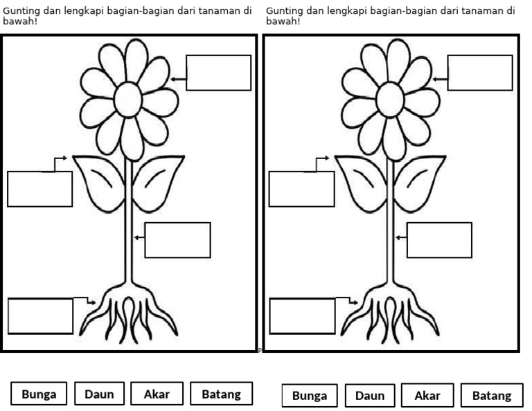 melengkapi bagian bunga | PDF