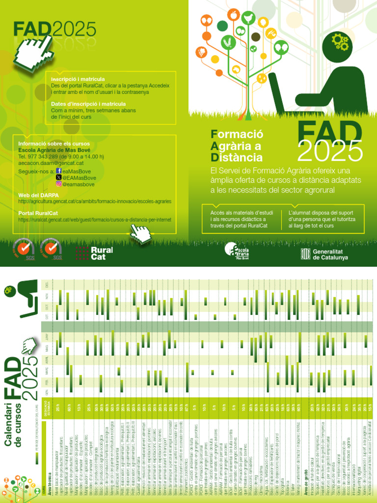 Diptic - FAD2025 Vdigital | PDF