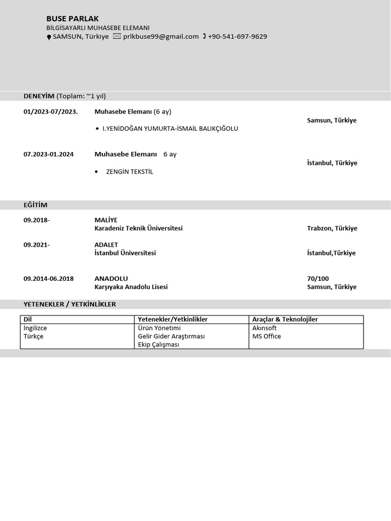 Buse Parlak Cv | PDF