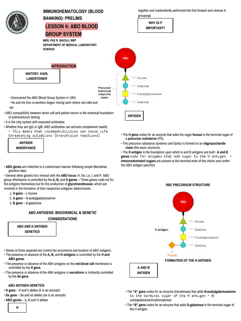 ABO Blood Group System Overview | PDF | Blood Type | Clinical Pathology