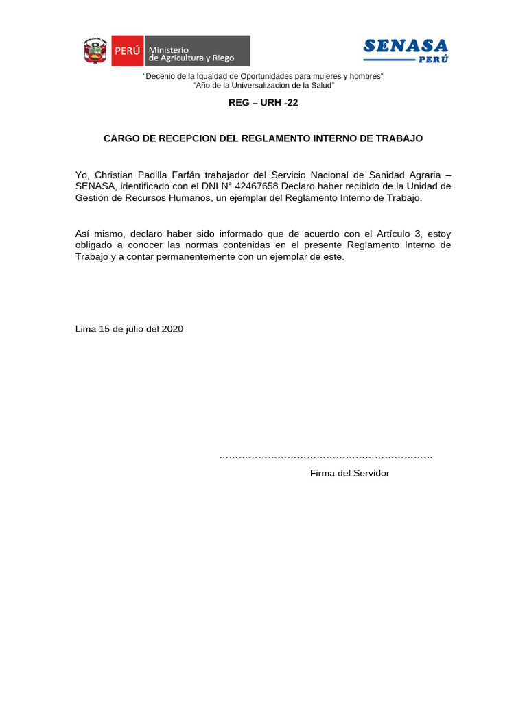 Llenado Cargo Riss Risst | PDF